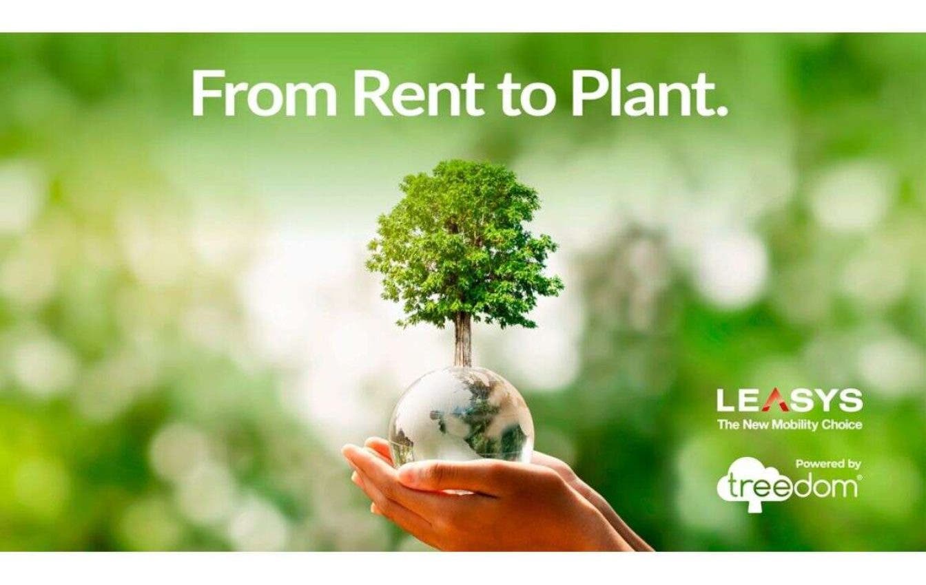 Leasys and Treedom: a new green project “From Rent to Plant” - ClubAlfa ...